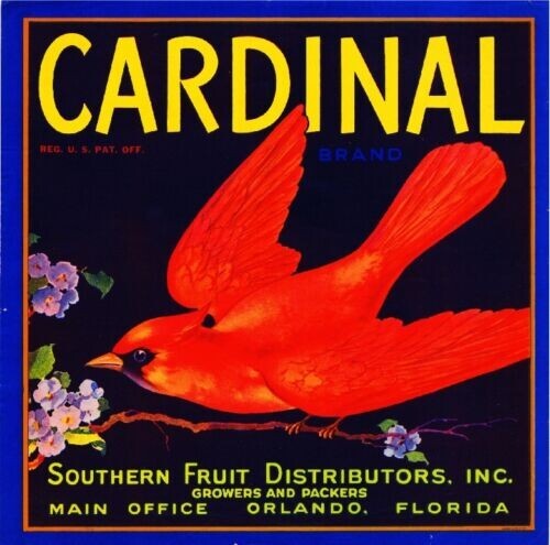 Cardinal Brand Orange Orlando Florida Citrus Fruit Crate Label Vintage ...