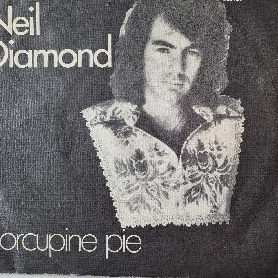 Neil Diamond - Morningside/ Porcupine pie 7'' Vinyl Holland | eBay