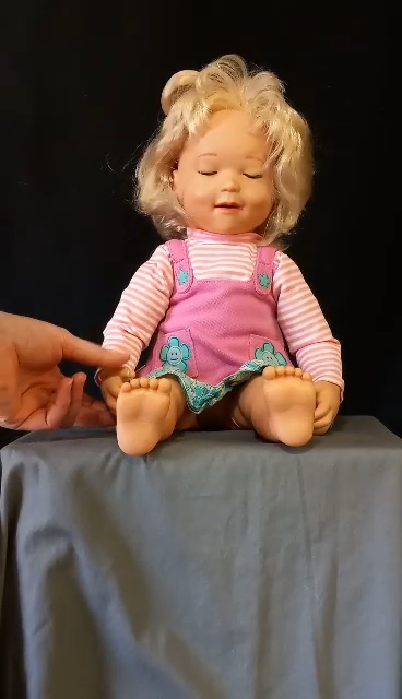 2005 Amazing Amanda Interactive Doll With Instructions No Accessories ...