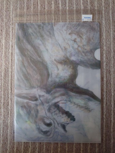 Attack On Titan Final Season Clear File OP Used anime anime merchandise ...