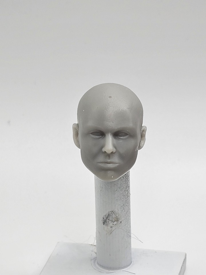 3d Printed SIGOURNEY WEAVER RIPLEY HEAD 1:12 GI Joe Classified/Marvel ...