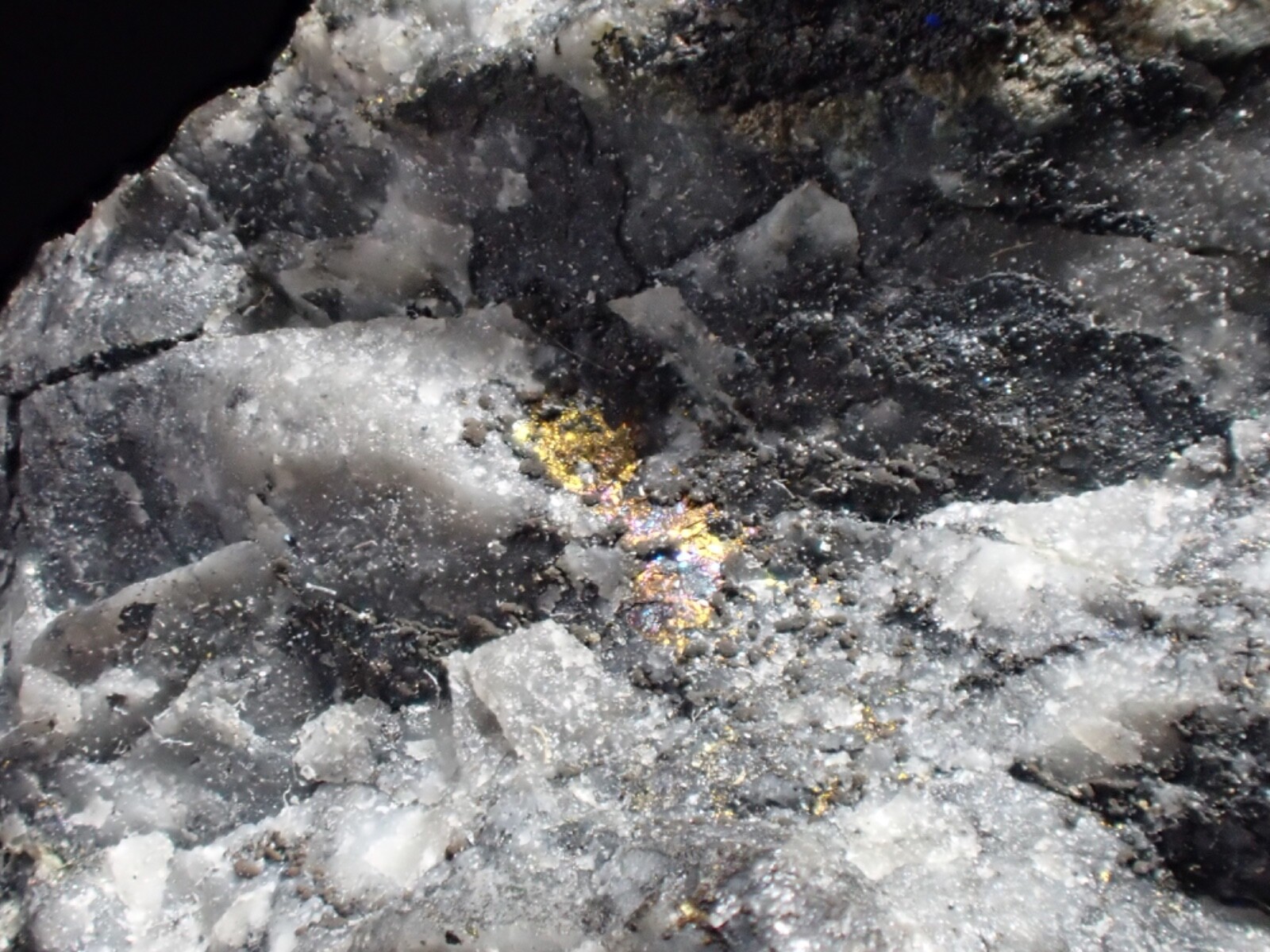 Historic! Native Gold var. Electrum Sarabau Mine Sarawak Indonesia Ex ...