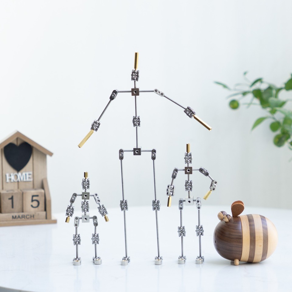 DIY Stainless Steel Human ARMATURE KIT for Studio Stop-Motion Animation ...
