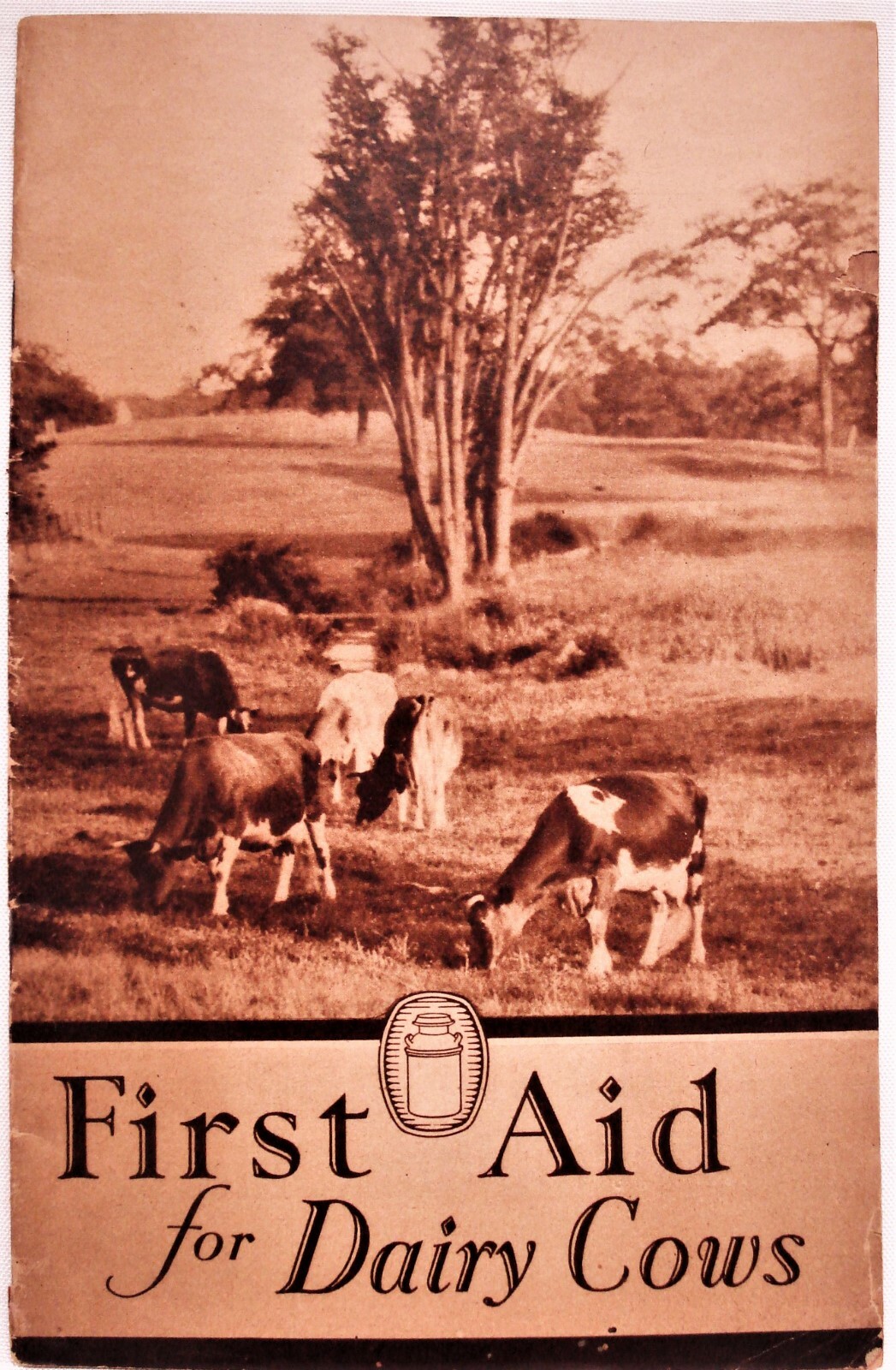 1935 FIRST AID FOR DAIRY COWS DAIRY ASSOCIATION CO. KOW KARE MEDICINE ...