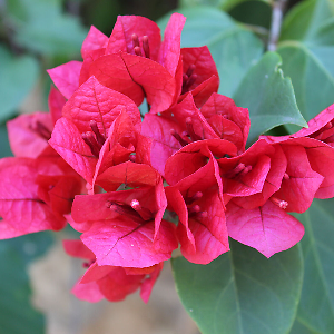 SunsetAdventures | eBay Stores