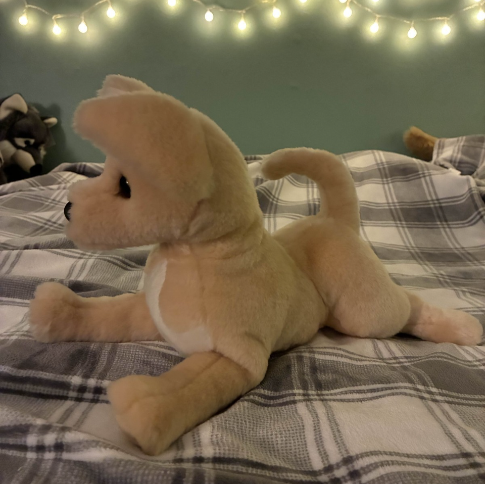RARE/RETIRED Douglas Cuddle Toys | 16" Nacho Chihuahua Plush | USED | eBay
