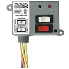 RIB Enclosed Power Relay 20A SPDT Override 24Vac/DC/208-277Vac | eBay
