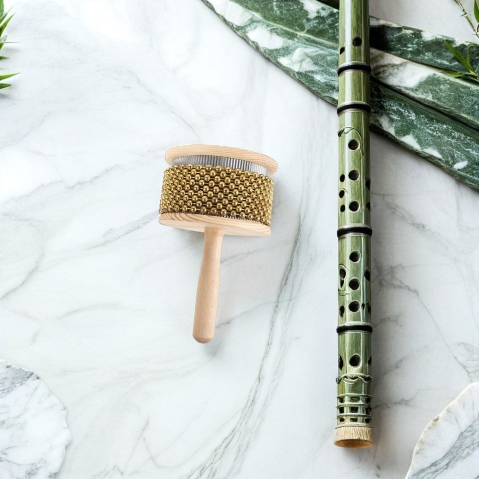 Percussion Shaker Music Creative Musical Toy Beginner Cabasa Instrument ...