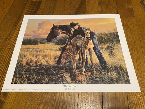 Tim Cox 9x12 “The New Foal” Print | eBay