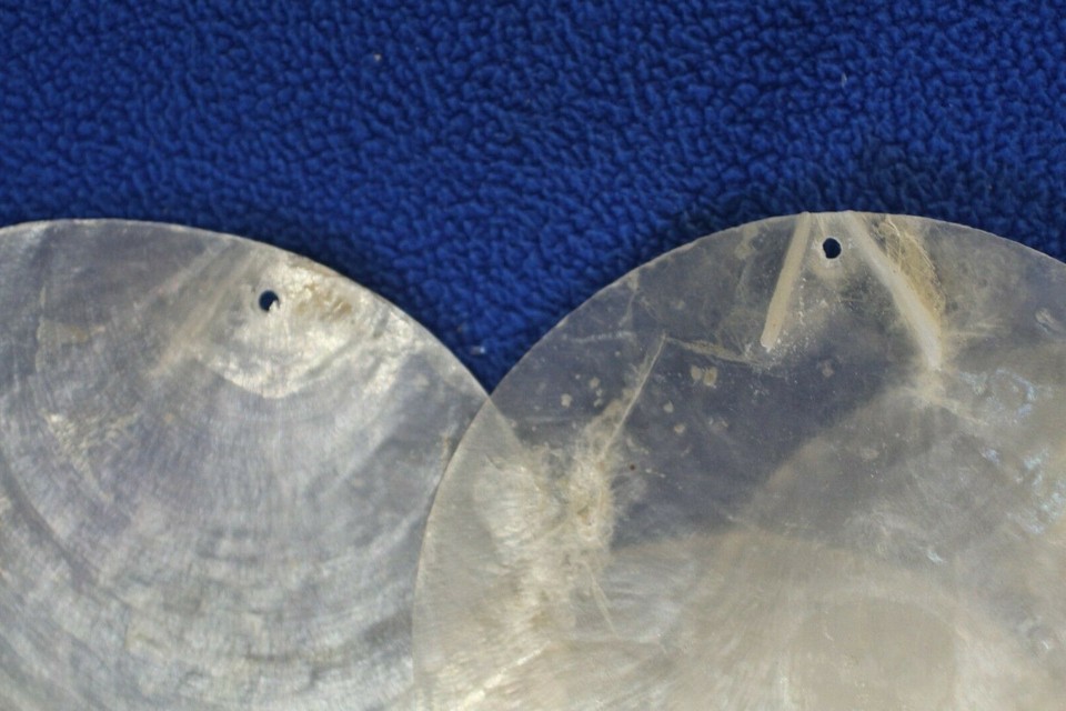 Drilled Hole Capiz Seashells 2 5/8 inch to 3 1/4 inch sizes, SS-127 | eBay