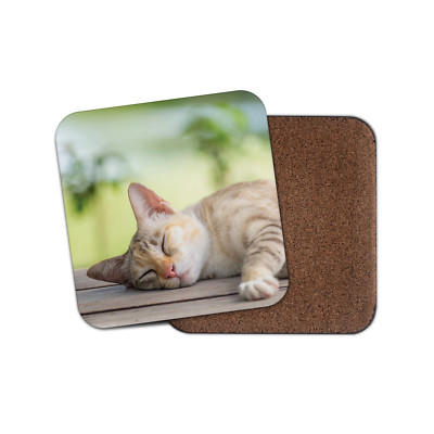 Sleepy Ginger Cat Coaster - Kitten Pet Animal Cute Mum Auntie Sister ...
