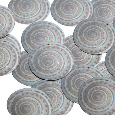 Round Sequin 1.5" Sea Snail Shell Ocean Sealife Opaque | eBay
