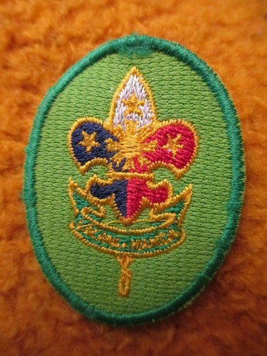 BOY SCOUT BSA PATCHES - PHILIPPINES - PAIR - FLAG & SOIL AND WATER ...