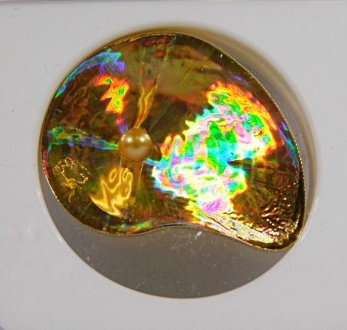 2014 Palau Sea Treasures Silver $5 Triangle Sail Mussel Hologram PF70 ...