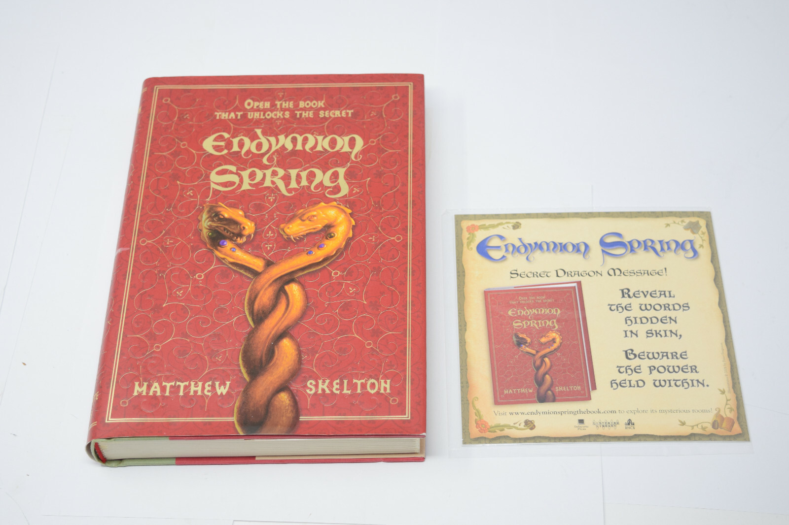 Endymion Spring by Matthew Skelton 1st American Edition w Secret Dragon ...