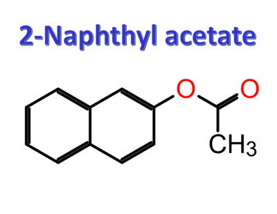 2-Naphthyl acetate, CAS 1523-11-1 | eBay