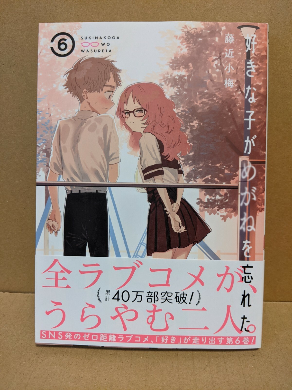 Suki na Ko ga Megane o Wasureta Vol. 6 NEW Fujichika Koume Japanese ...
