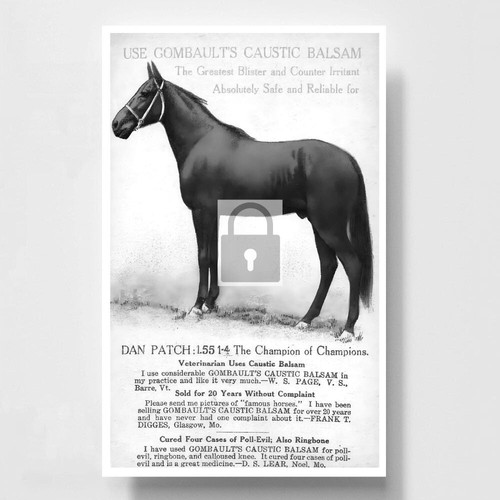Gombault's Caustic Balsam Horse Racing Dan Patch - REPRINT | eBay