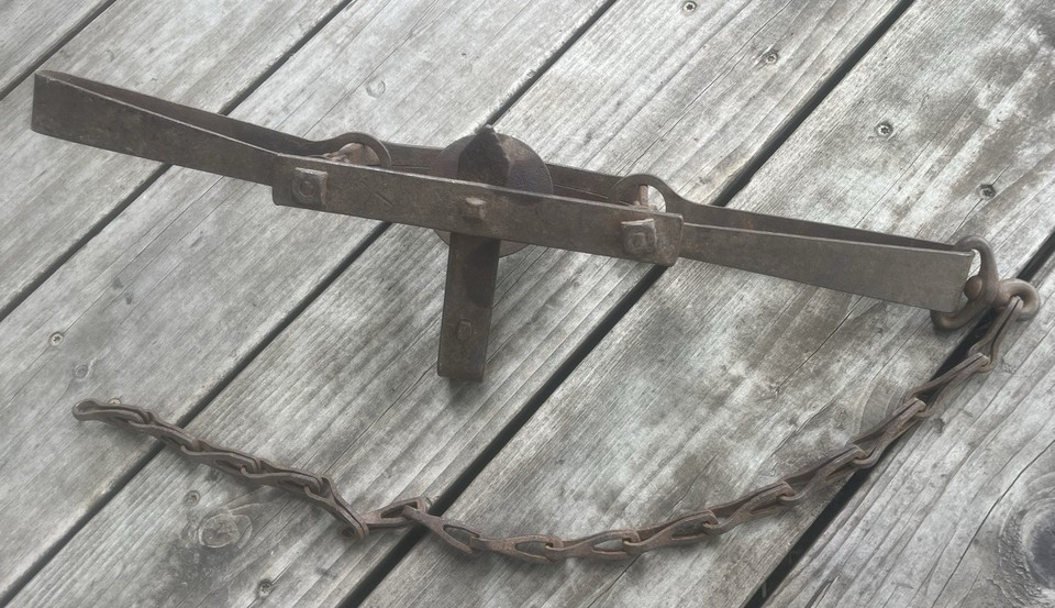 Vintage NEWHOUSE #4 DOUBLE LONG SPRING TRAP With Split Jaw Posts | eBay