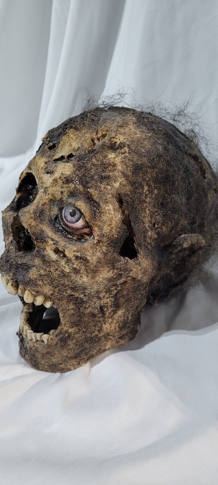 REALISTIC,HORROR,MUMMIFIED,HALLOWEEN HORROR PROP,SIDESHOW GAFF, ROT ...