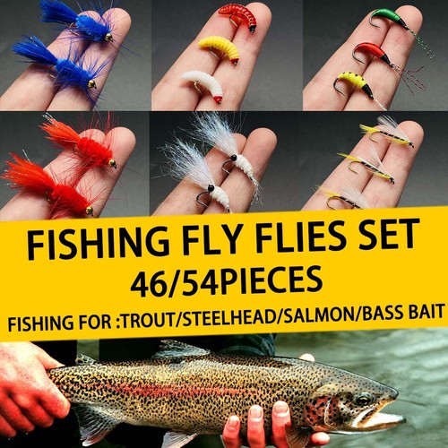 46-54Pcs Set Dry/Wet Flies Nymph Fly Fishing Kit | Fishing Kit for Bass ...