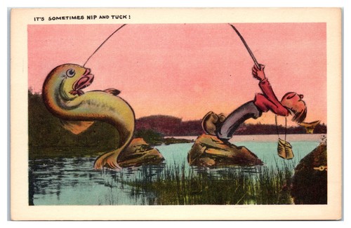 It's Sometimes Nip and Tuck Exaggeration Fishing Humor Postcard | eBay