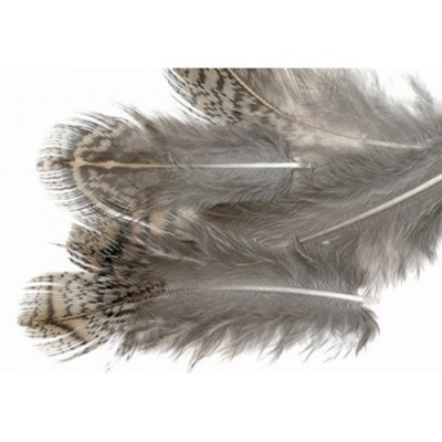 Fly Tying Materials - Partridge Feathers