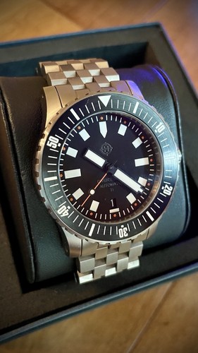 Helm Vanuatu Titanium Bonus Adjustable Clasp, Box & Papers Ti 42mm ...