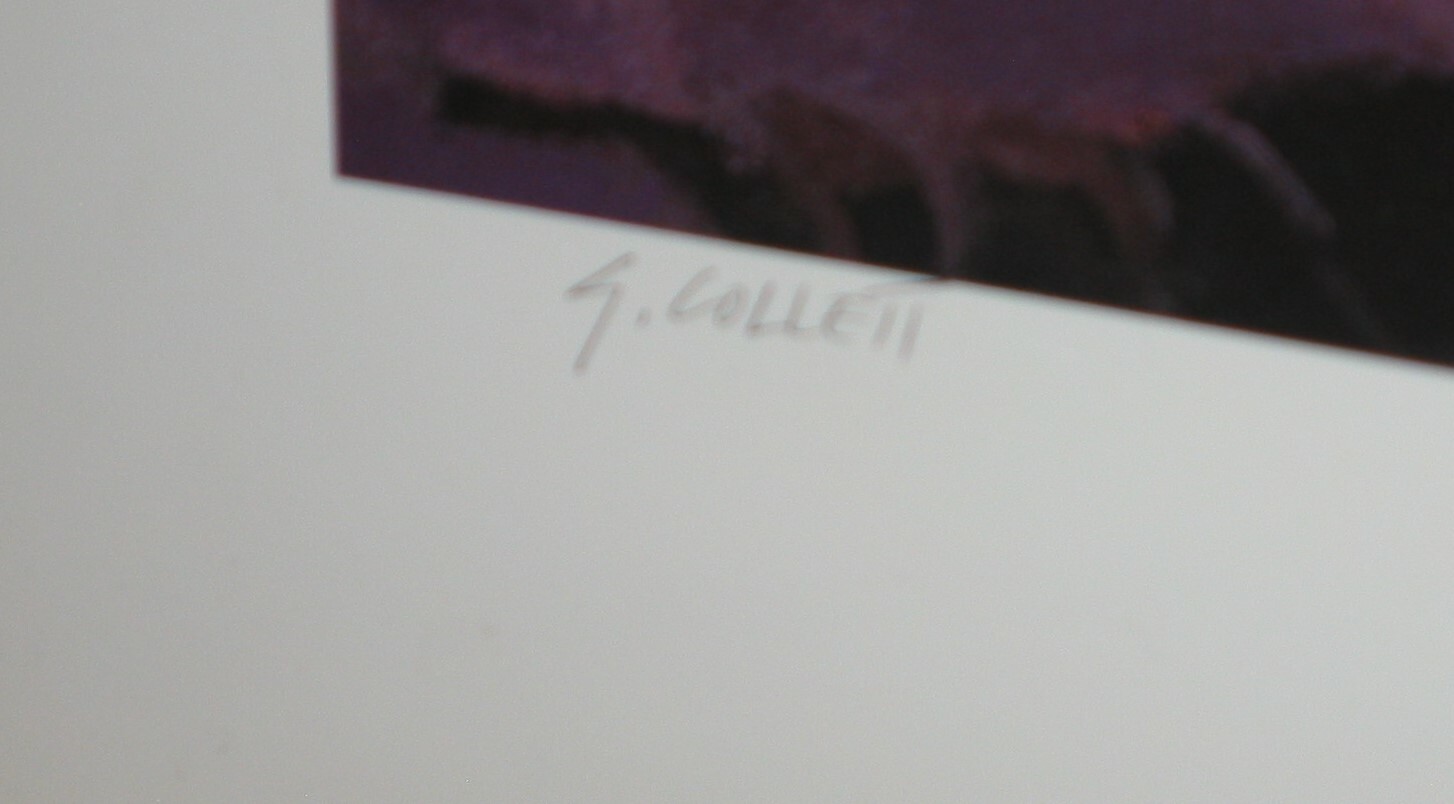 ERICA IN REPOSE II FINE ART LITHO PRINT BY SAM COLLETT 1997 SIGNED LTD ...