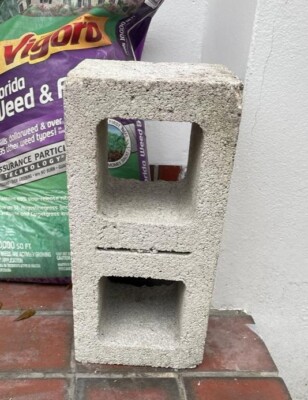 Gray Concrete Cinder Blocks - 8 in x 8 in x 16 in | eBay