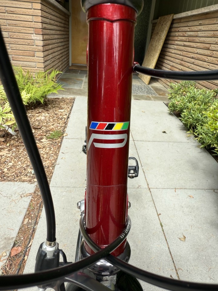 1993 Vintage Schwinn Paramount – Restored By Waterford & Ready to Ride ...