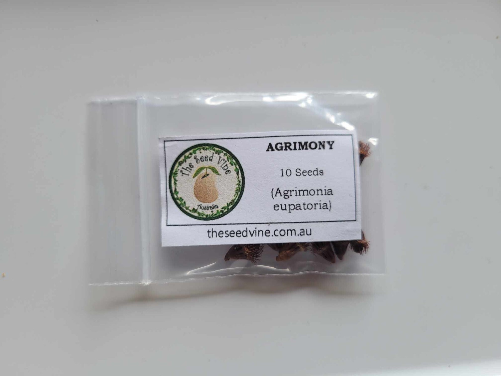 10+ AGRIMONY SEEDS ORGANIC (Agrimonia eupatoria) Medicinal Herb Yellow ...