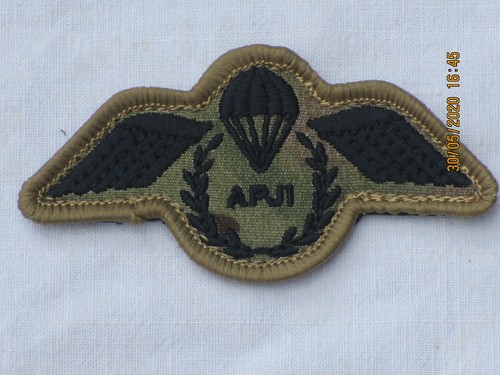 Assistant Parachute Jump Instructor, Apji , Mtp, touch fastener, Back ...