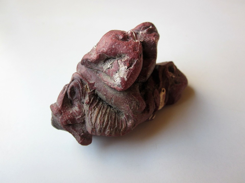 rare very beautiful fossil / fossils / stone in red color. | eBay