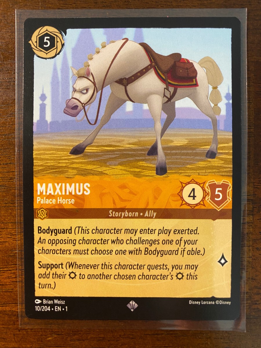 Maximus Gallery 1 Preliminary Draft Photos