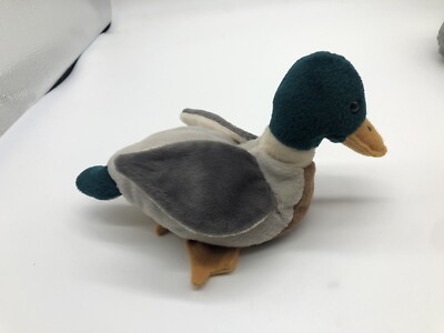 Ty Beanie Baby Jake The Mallard Drake Duck, 1997 798256301308| eBay
