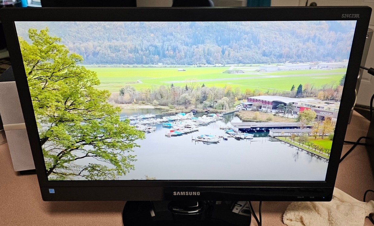 Samsung S24C230BL Monitor for sale online | eBay