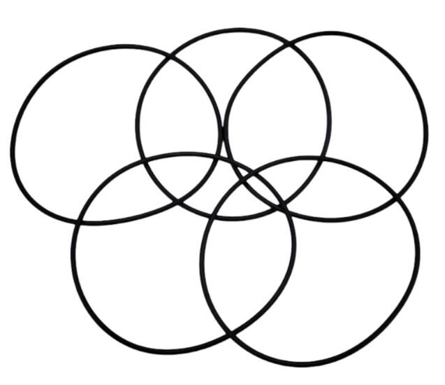 New Pentek Big Blue Water FIlter (5pc) Replacement O-Rings 151122 | eBay