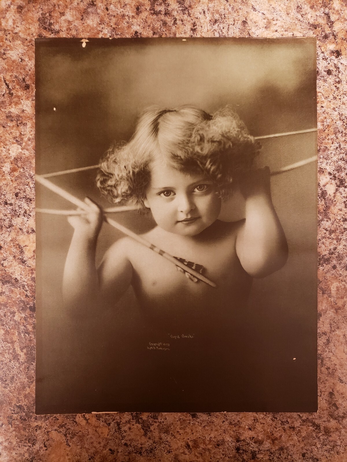 Antique Taber Prang Art Company Cupid Awake (1894) Photograph Print ...