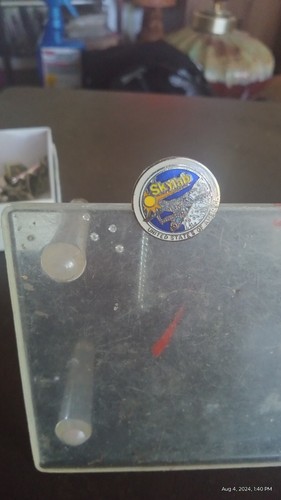 Vintage SKYLAB TIE TACK/PIN SPACEAGE ENT. HOUSTON Mint | eBay