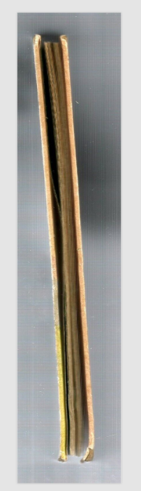 Donald Duck and the Magic Stick, (1974,hardcover,Wail Disney) | eBay