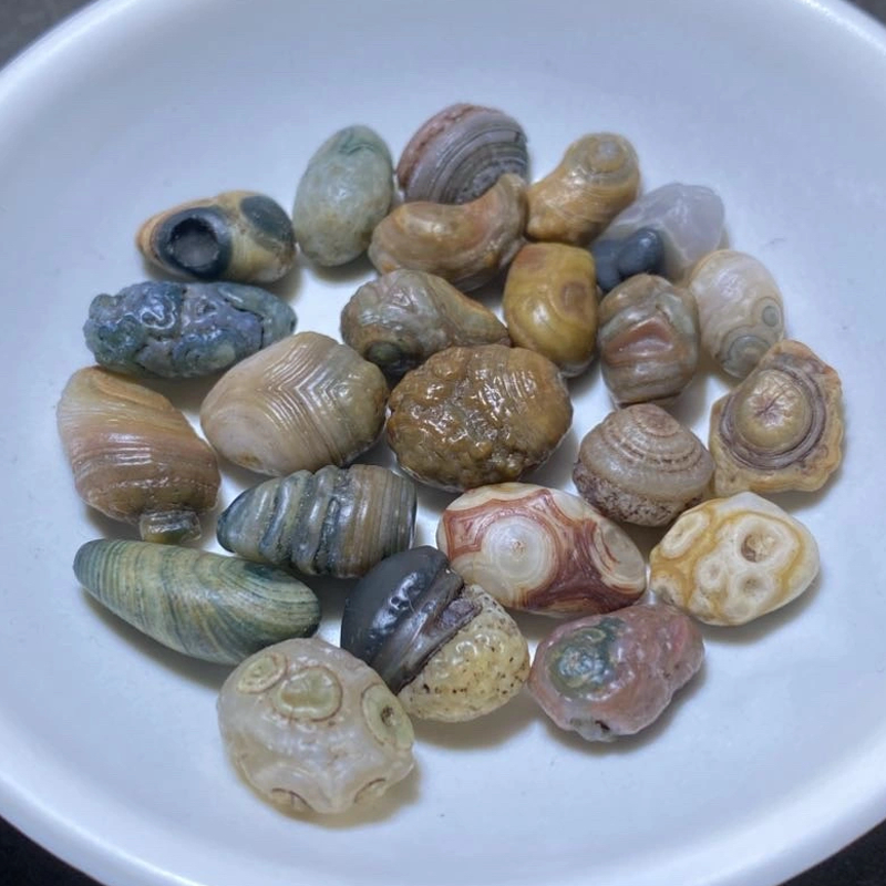 100% Natural Gobi Agate Eyes Agate Stone Collection Specimen 39G | eBay UK