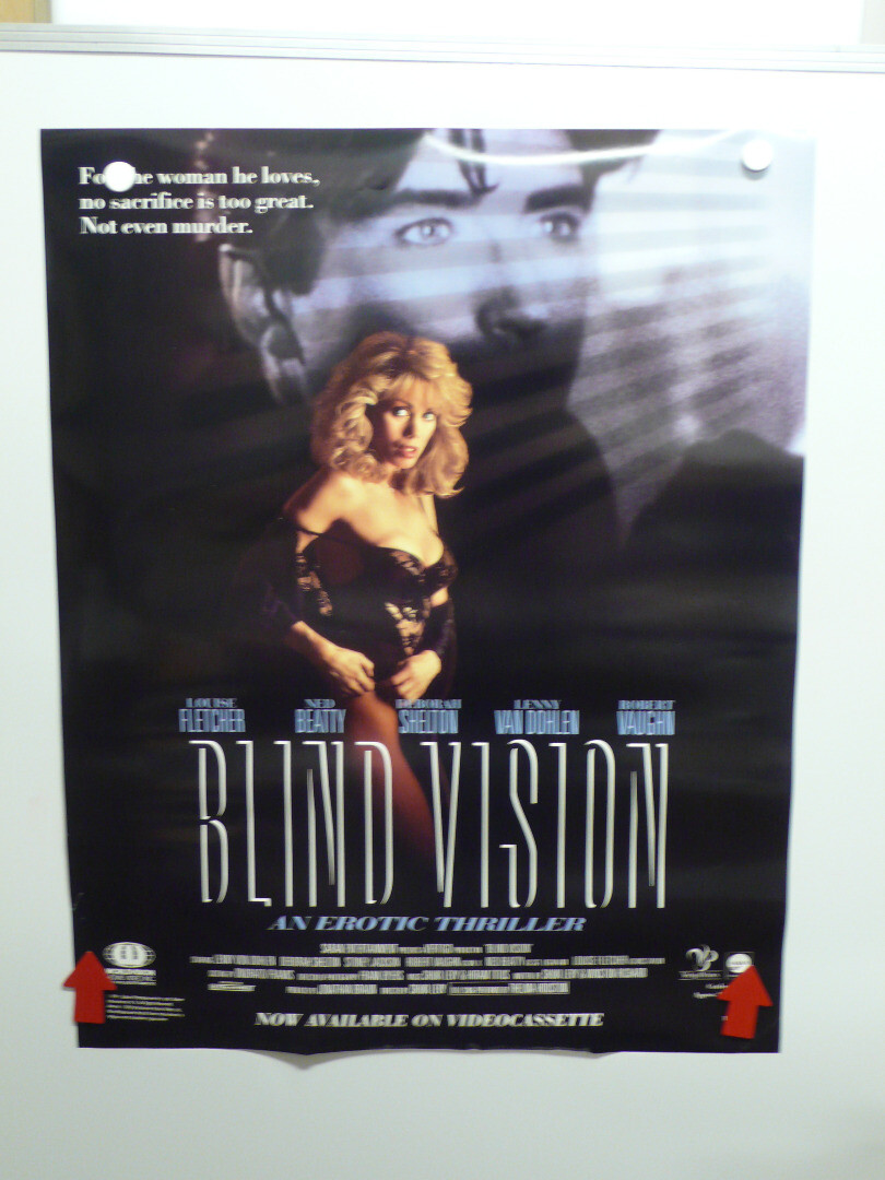 BLIND VISION Joe Banks NED BEATTY Lenny Von Dohen HOME VIDEO POSTER ...
