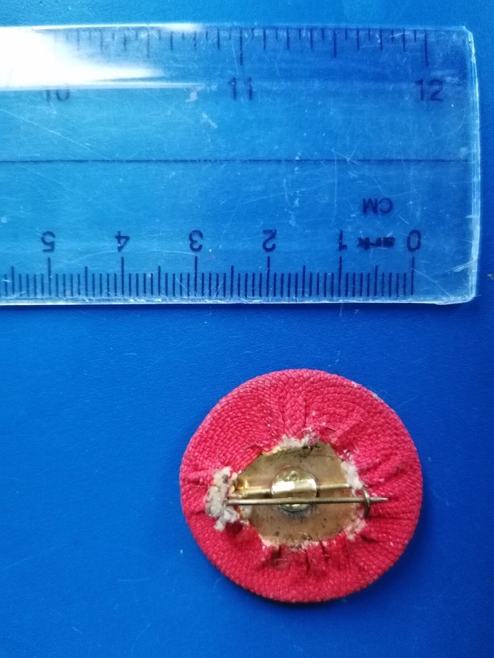 Badge Pin flag Cockade Romania RSR Flag comemorative 1848 1973 | eBay