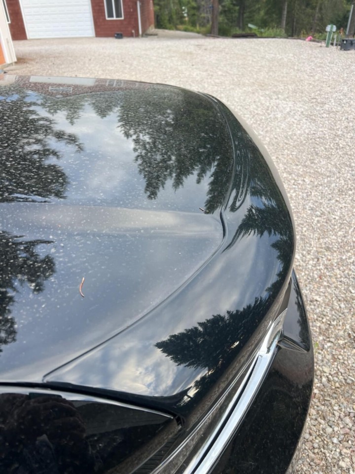 AVS Aeroskin Hood Protector Bug Shield Deflector for 22-24 Jeep Grand ...