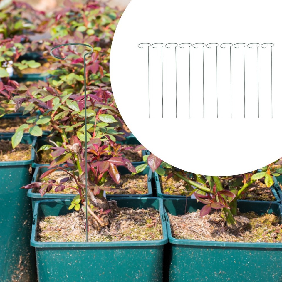 10 Pcs Stick for Plants Support Garden Stake Climbing Flower Stakes ...