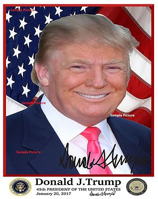 Official Portrait of President Donald Trump - Photo Semi Glossy (Print ...