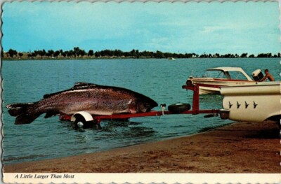 Missouri Exaggerated Fishing A Little Larger Than Most Vintage Postcard ...