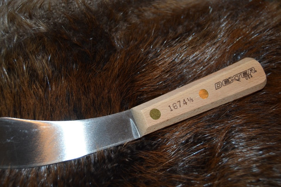 Dexter Beaver Skinning Knife Fur Handling Trap Traps Trapping Fleshing ...