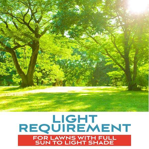 Pennington 50 lb. Perennial Ryegrass Blend Winter Grass Seed Lawn ...